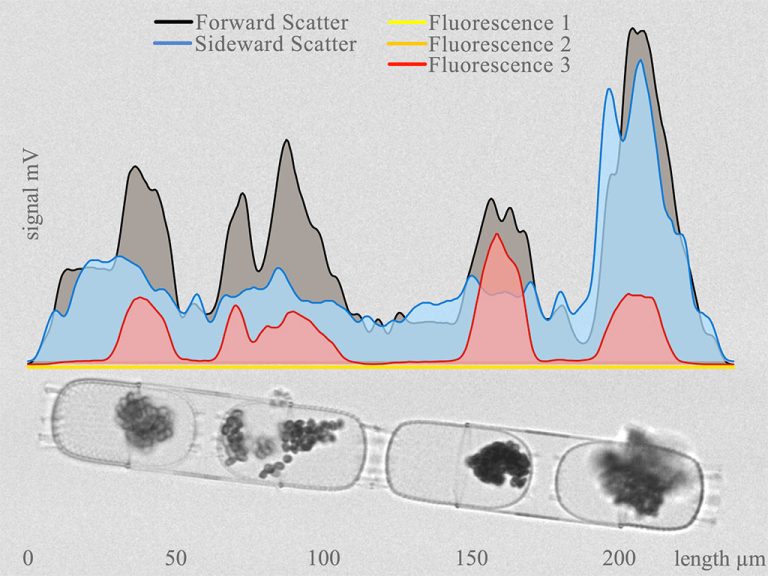 Extended flow cytometry for Biomedical Applications - CytoBuoy flow ...