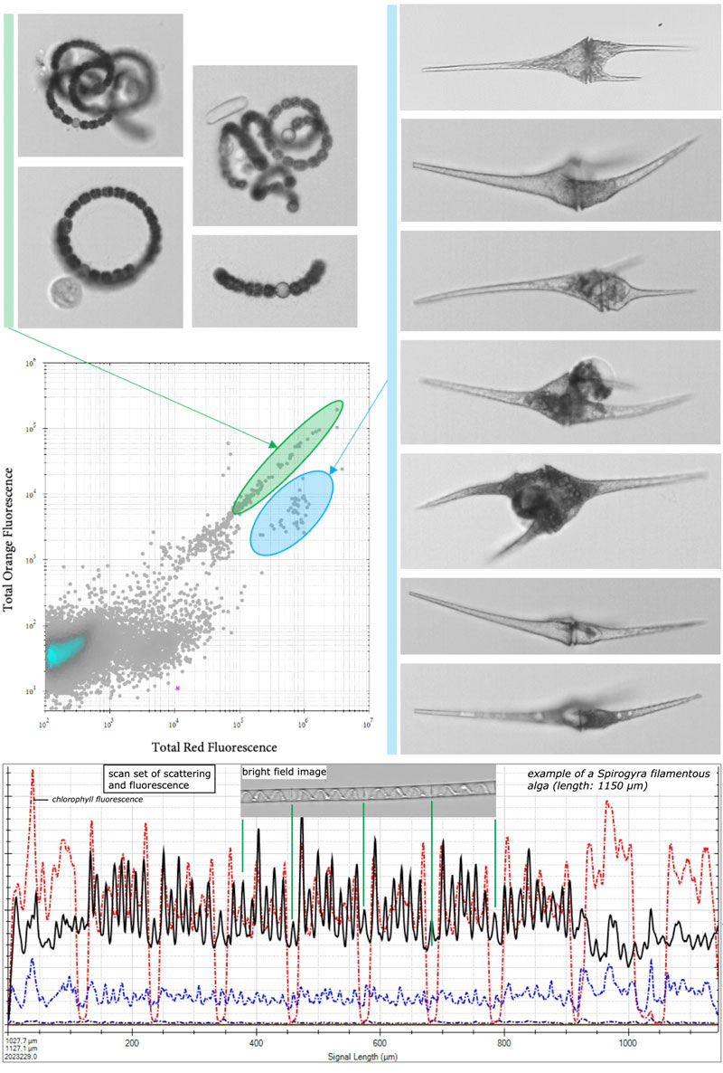 CytoSense - C the mobile flow cytometer - CytoBuoy flow cytometry solutions